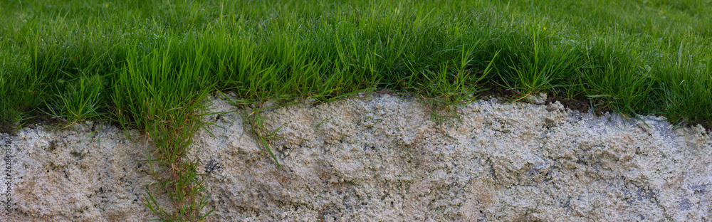 seamless cross section of grass and cement Stock Photo | Adobe Stock