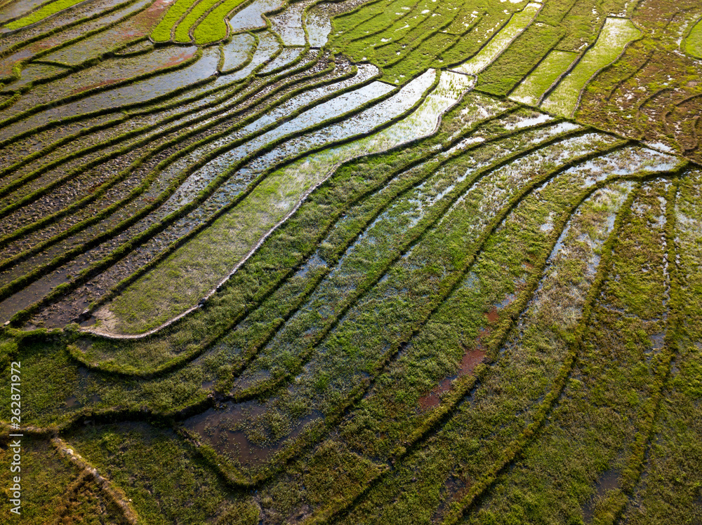 Terraced rice fields Stock Photo | Adobe Stock
