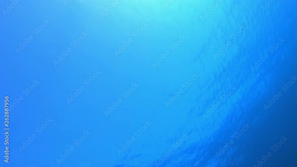 Blue Sea Surface Red-Sea. Tropical blue sea water. Sea waves. Blue ...