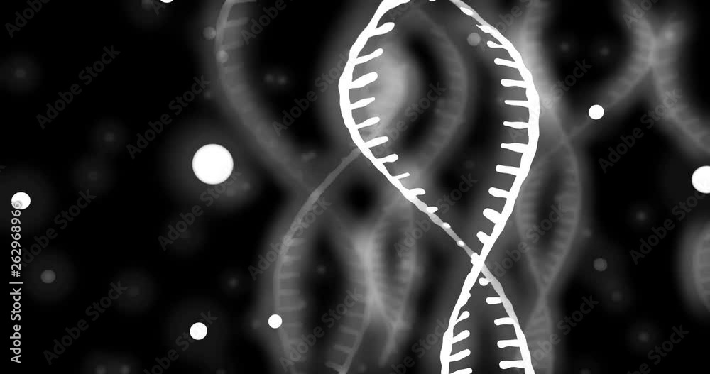 Abstract glittering DNA double helix with depth of field. Animation of ...