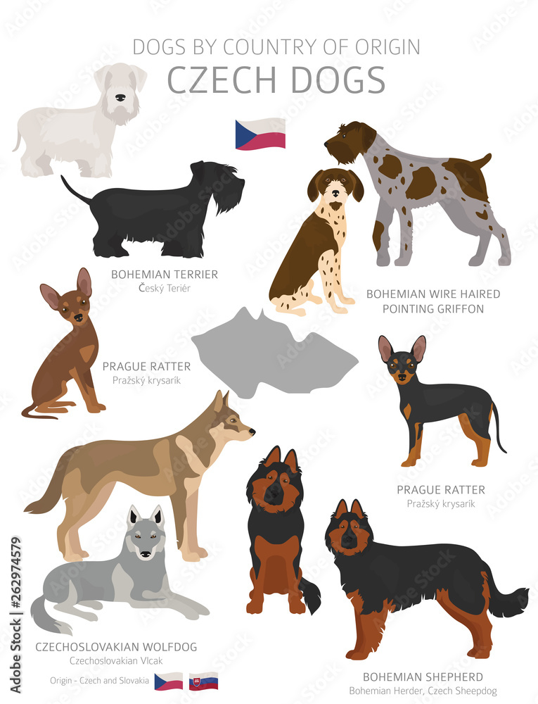 Dogs by country of origin. Czech dog breeds. Shepherds, hunting ...