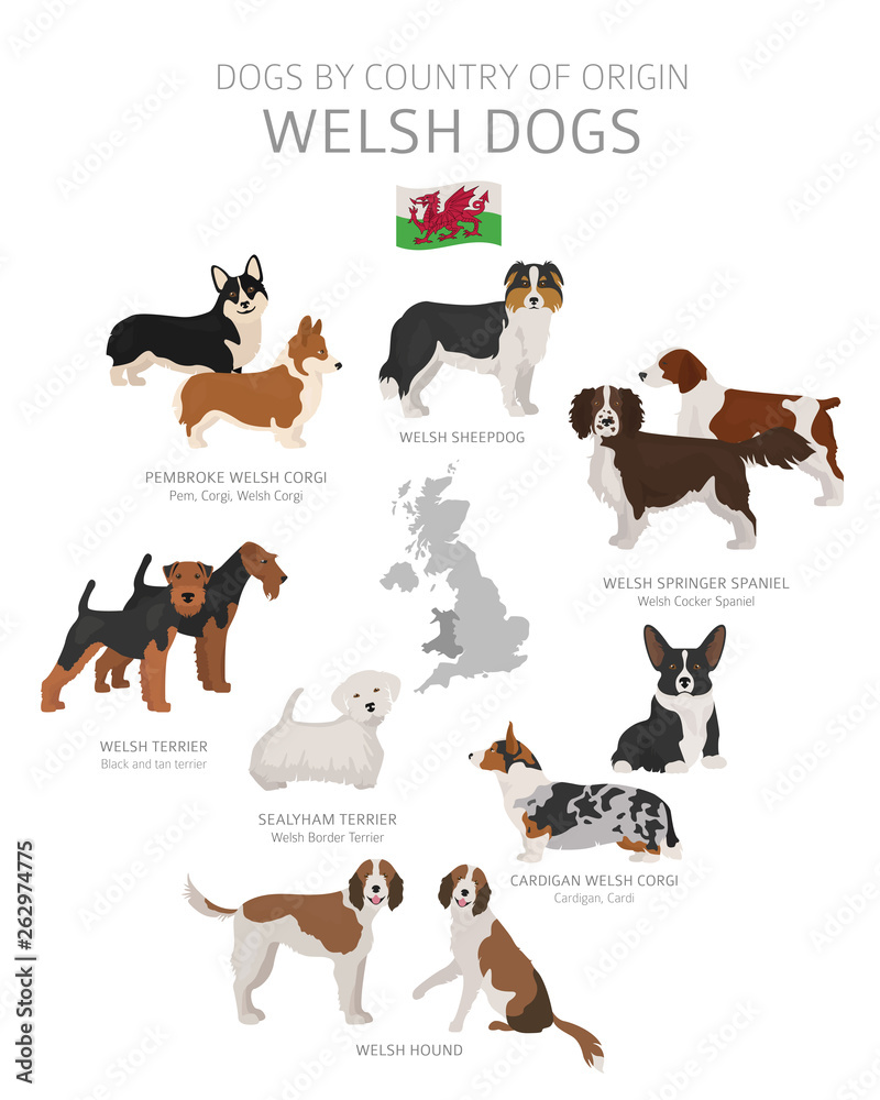 Welsh Hound