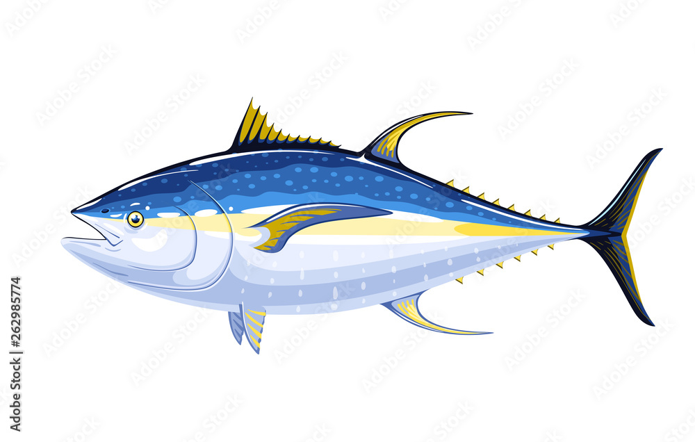 Commercial fish species. Yellowfin tuna. Vector illustration cartoon ...