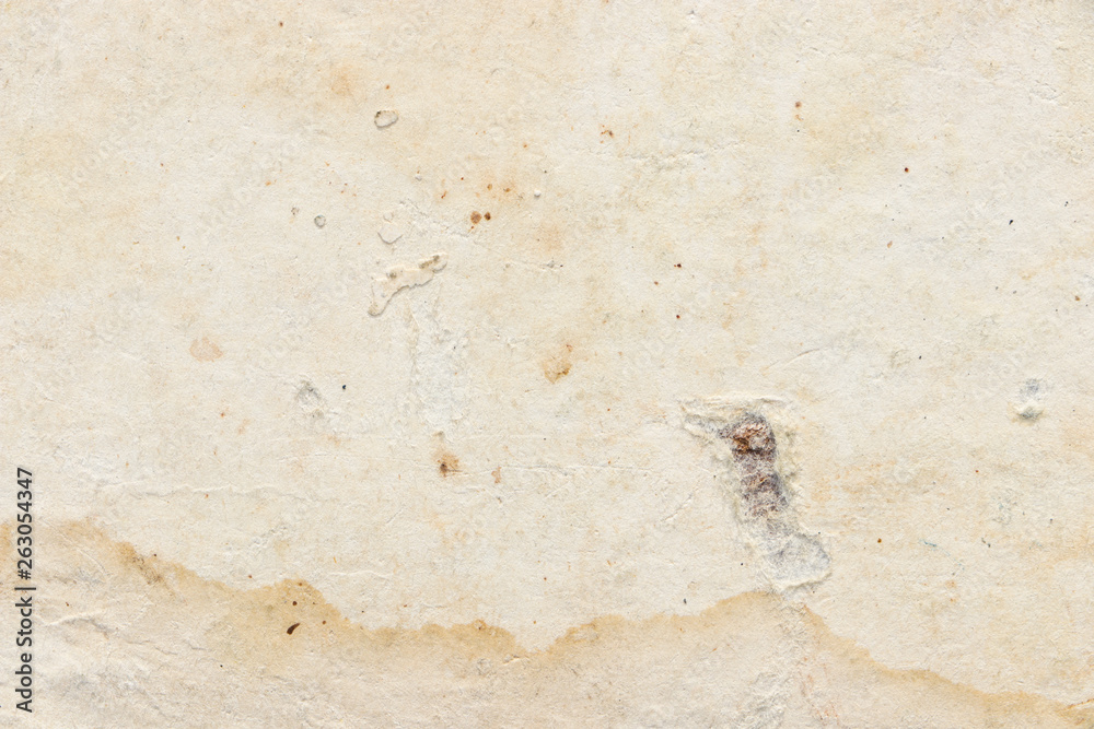 Blank dirty cardboard and paper background. The texture of the surface ...