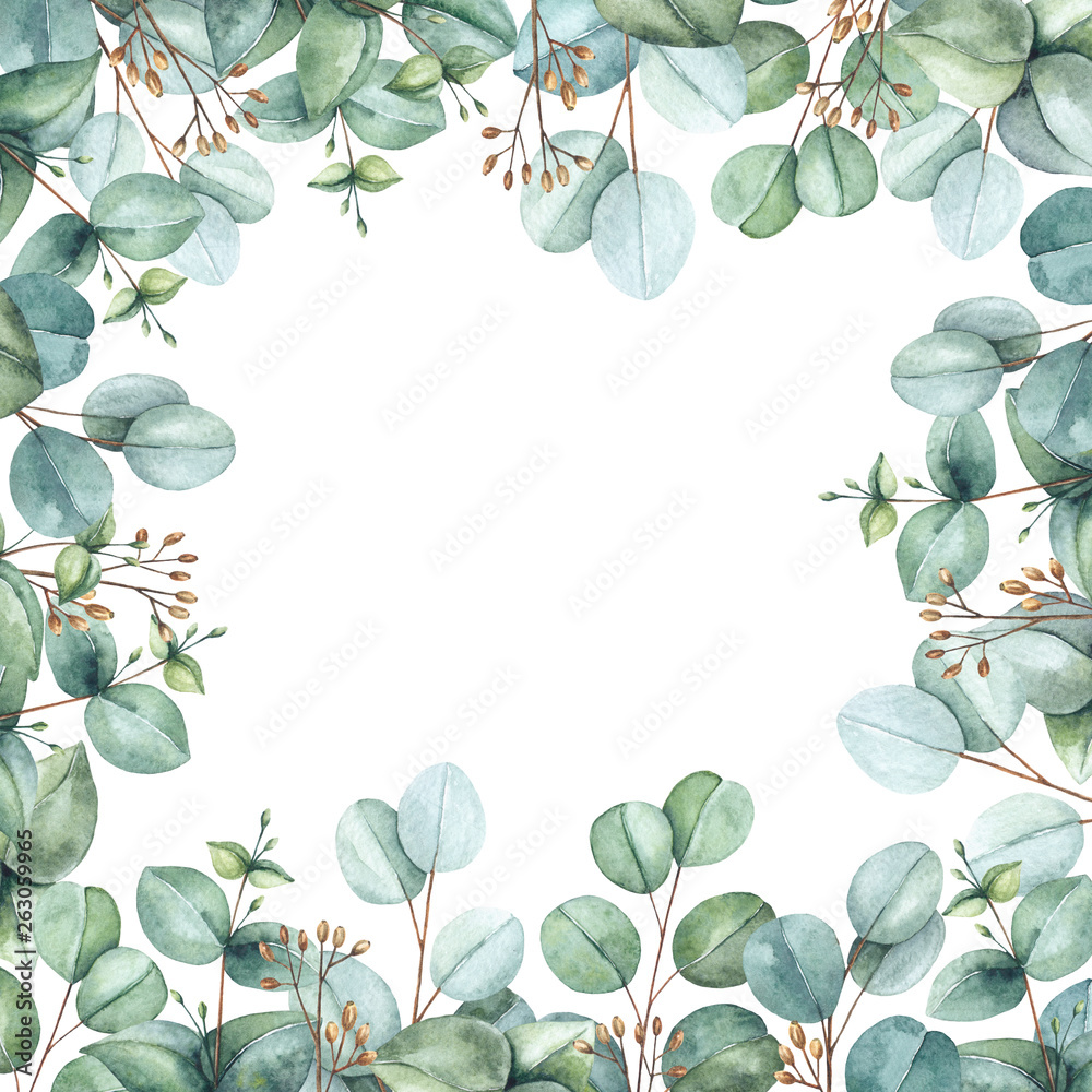 Frame made of leaves and branches of eucalyptus hand-drawn watercolor ...