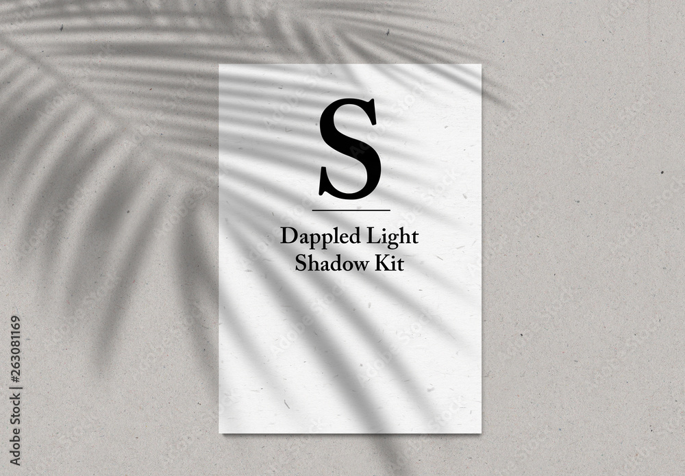 Dappled Light Shadow Kit Stock Template | Adobe Stock