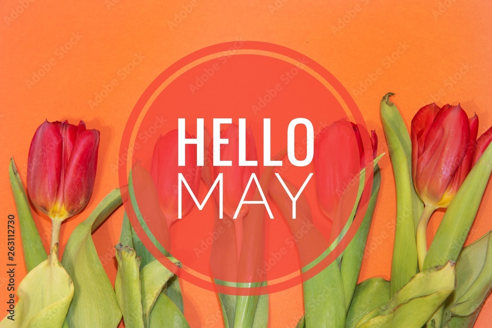 Month Of May Background