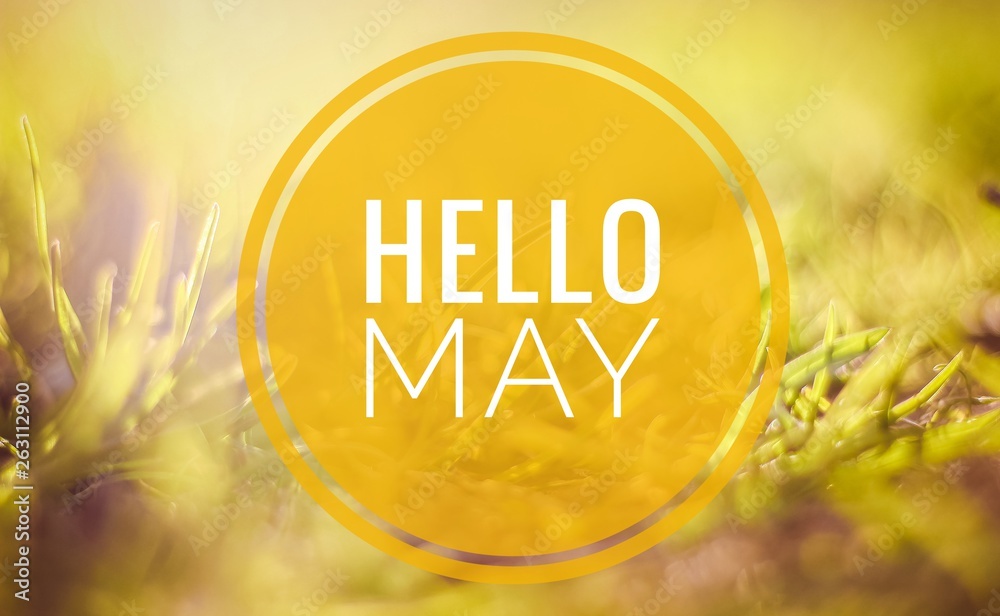 Banner Hello May. Greeting the new month. Picture with flowers. Text on ...