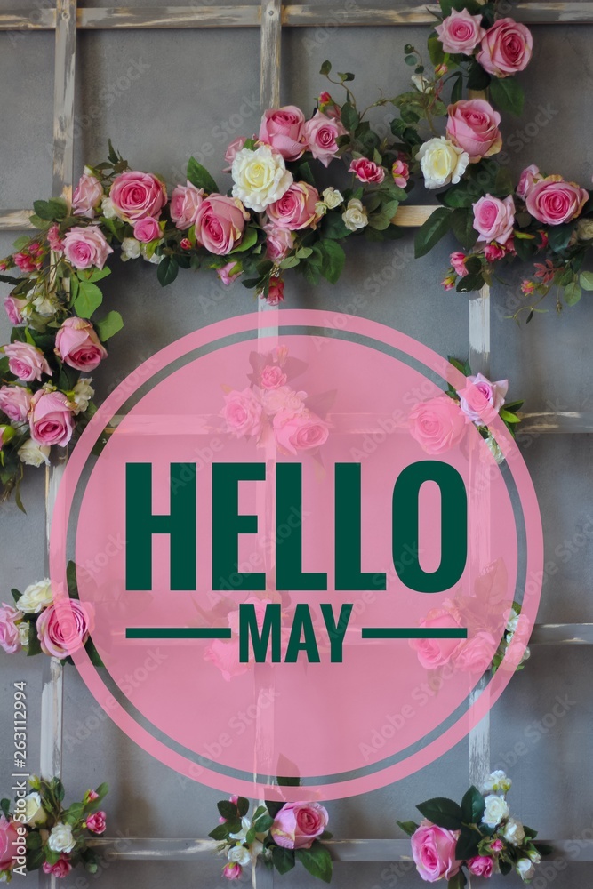 Banner Hello May. Greeting the new month. Picture with flowers. Text on ...