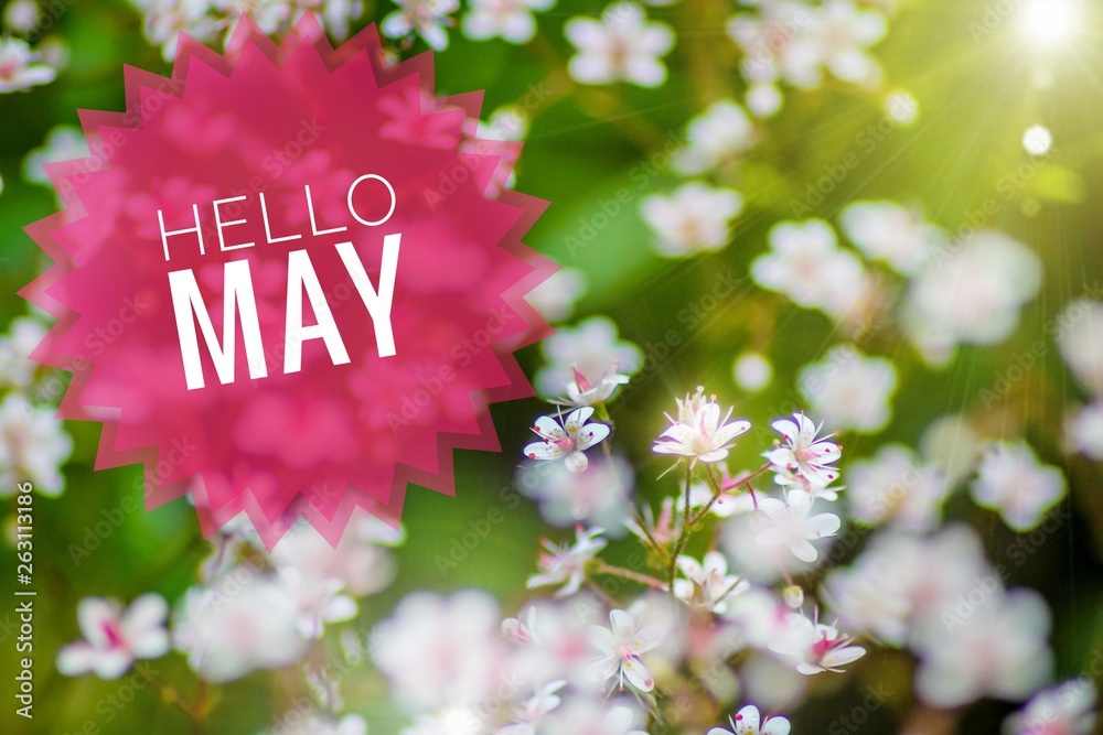 Month Of May Background