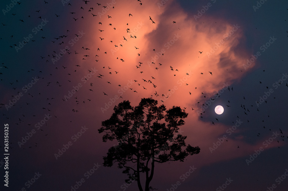 wild bats in the sky with full pink moon, big tree shape, halloween ...