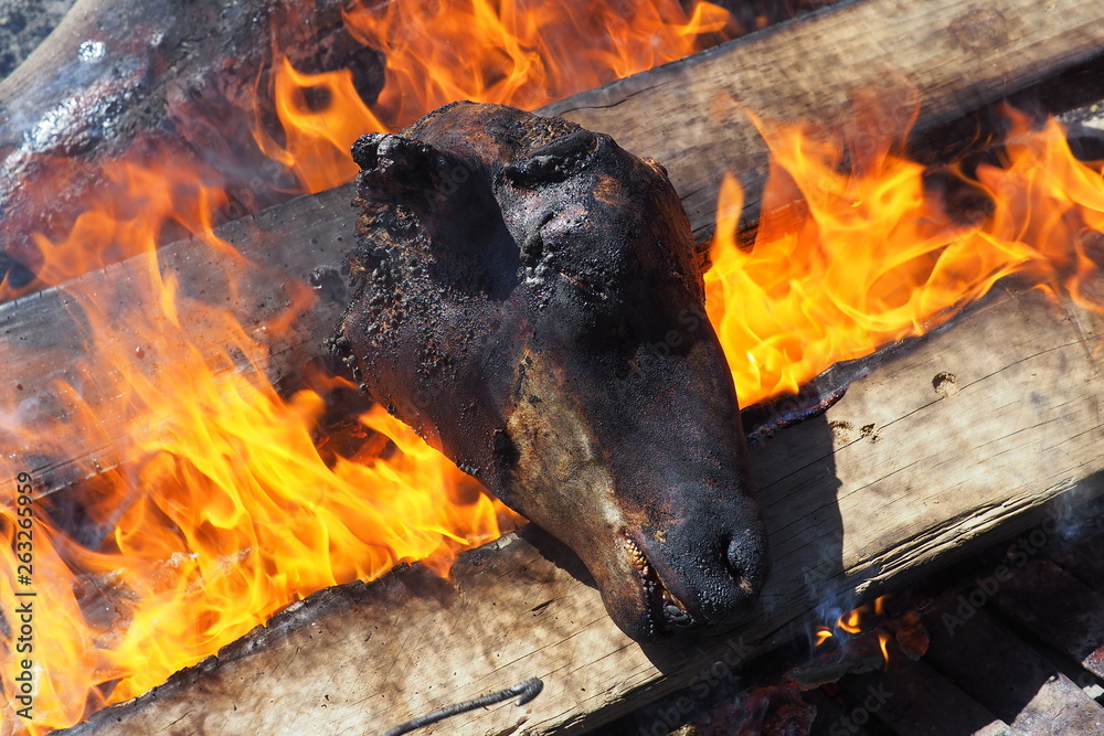 Sheep head cooked on coals in South Africa - called a"smiley" Stock ...