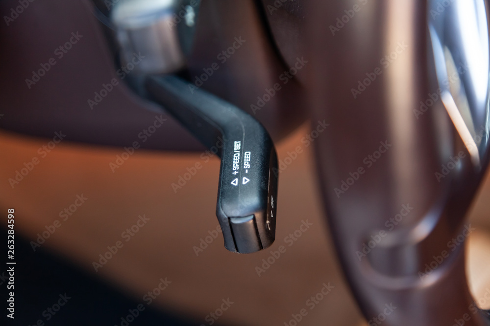 The shift lever to set the automatic cruise control speed inside the ...