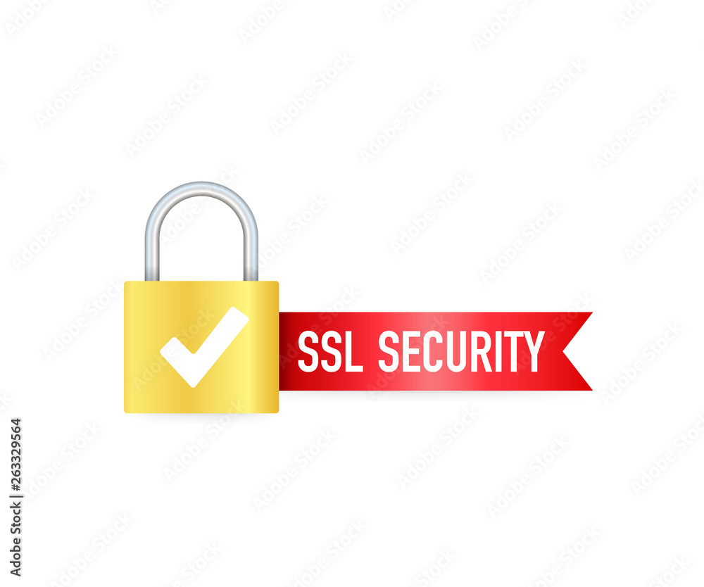 Secure connection icon vector illustration isolated on white background ...