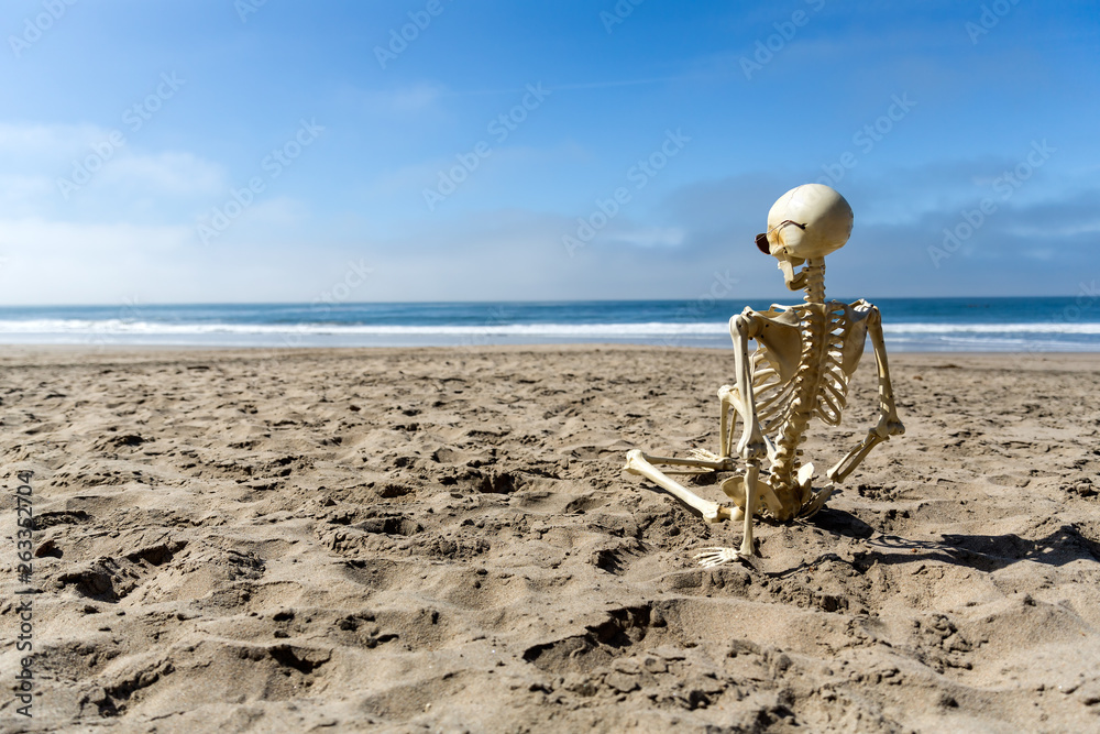 Skeleton sits on the beach watching the waves Stock Photo | Adobe Stock