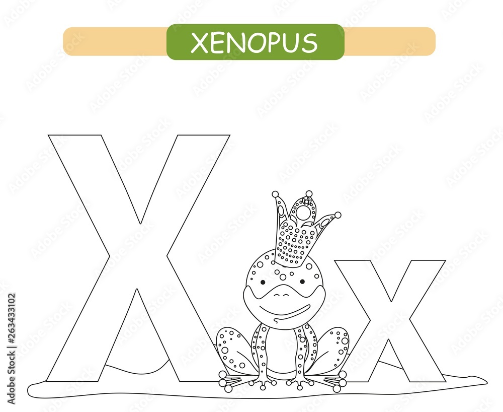 Letter X and funny cartoon xenopus. Coloring page. Animals alphabet a-z ...