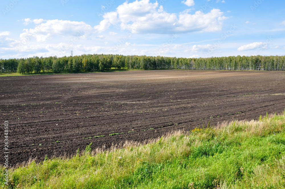 Black field with trees far away. Cultivated area. Agriculture. Bright ...