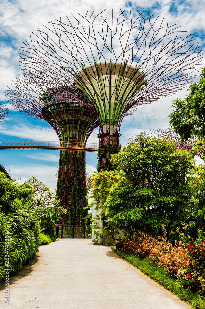 Gardens By The Bay Solar Trees | Fasci Garden