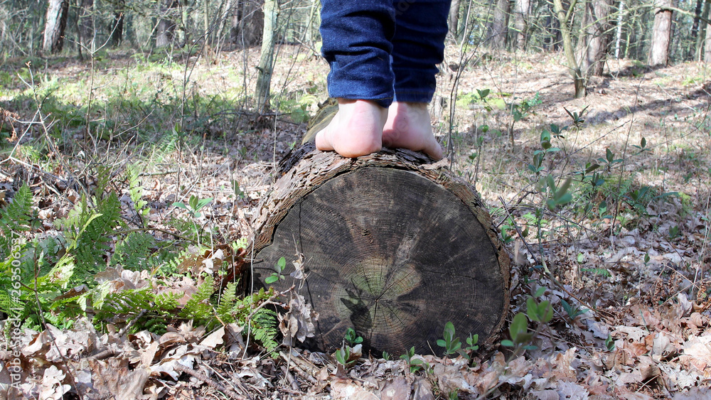 Standing Barefoot On Cut Tree Log Stock Photo | Adobe Stock