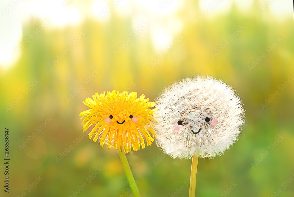 funny dandelions face, cute kawaii style. summer lovin. two dandelions ...