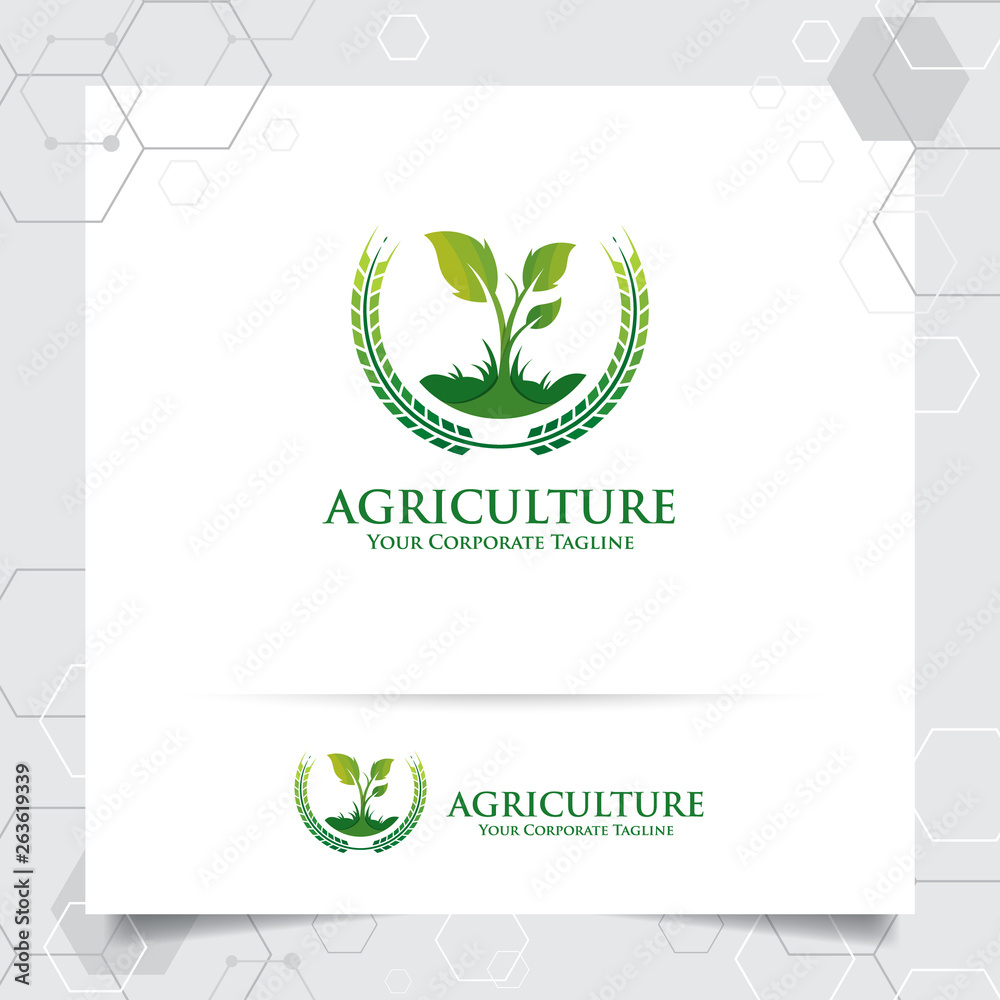 Agriculture logo design with concept of grain icon and plant leaves ...