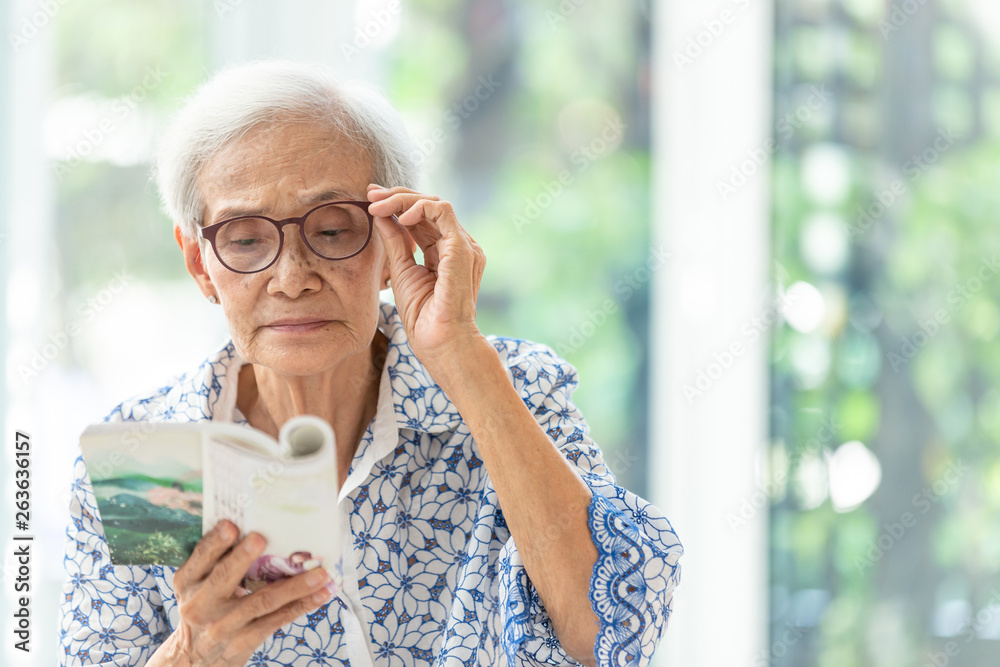 Asian senior woman reading a book relaxed at home,elderly woman spend ...