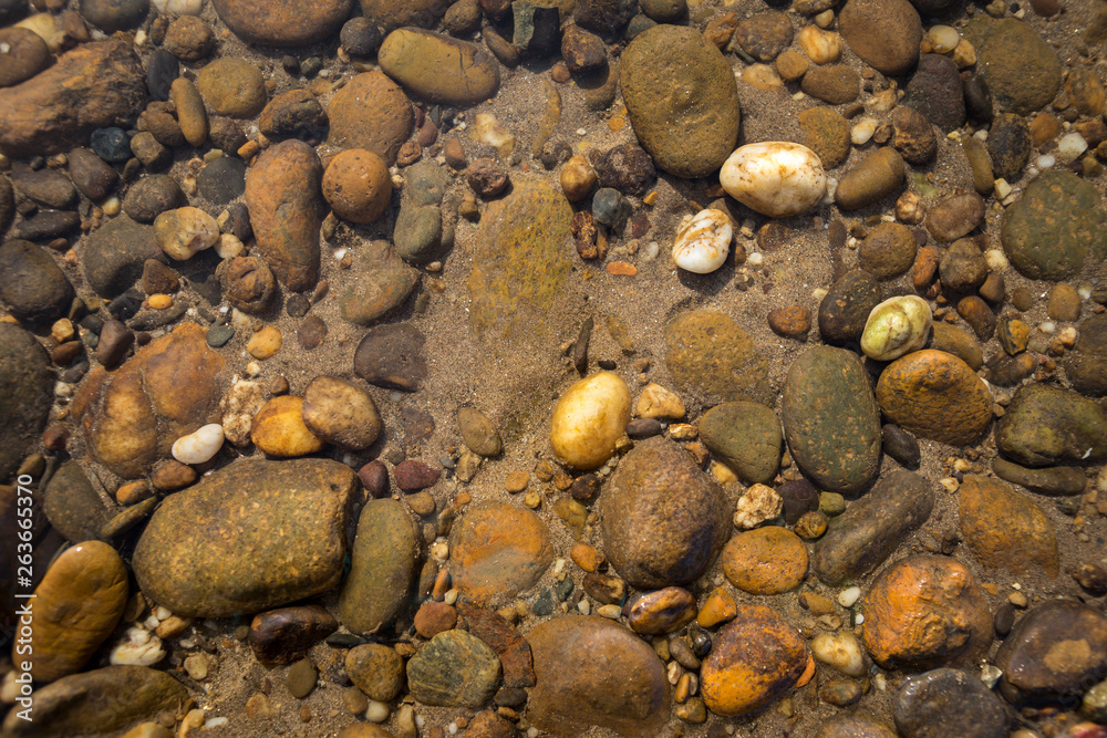 Natural river stone under the clear river water, natural concept ...