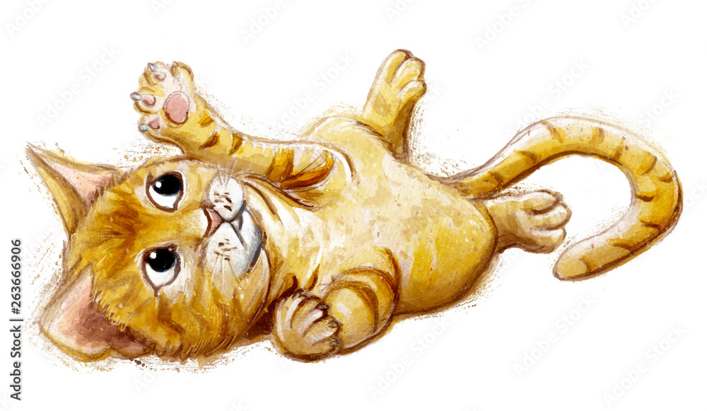 Gato jugando dibujado en acuarela Stock Illustration | Adobe Stock