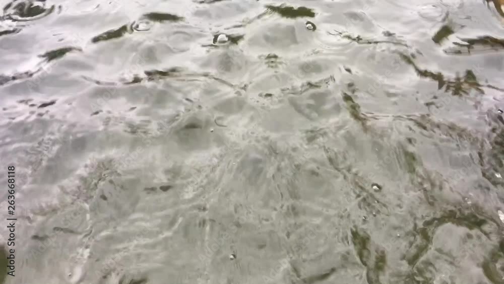 Ripple rain drops on the water inside pond. Stock Video | Adobe Stock