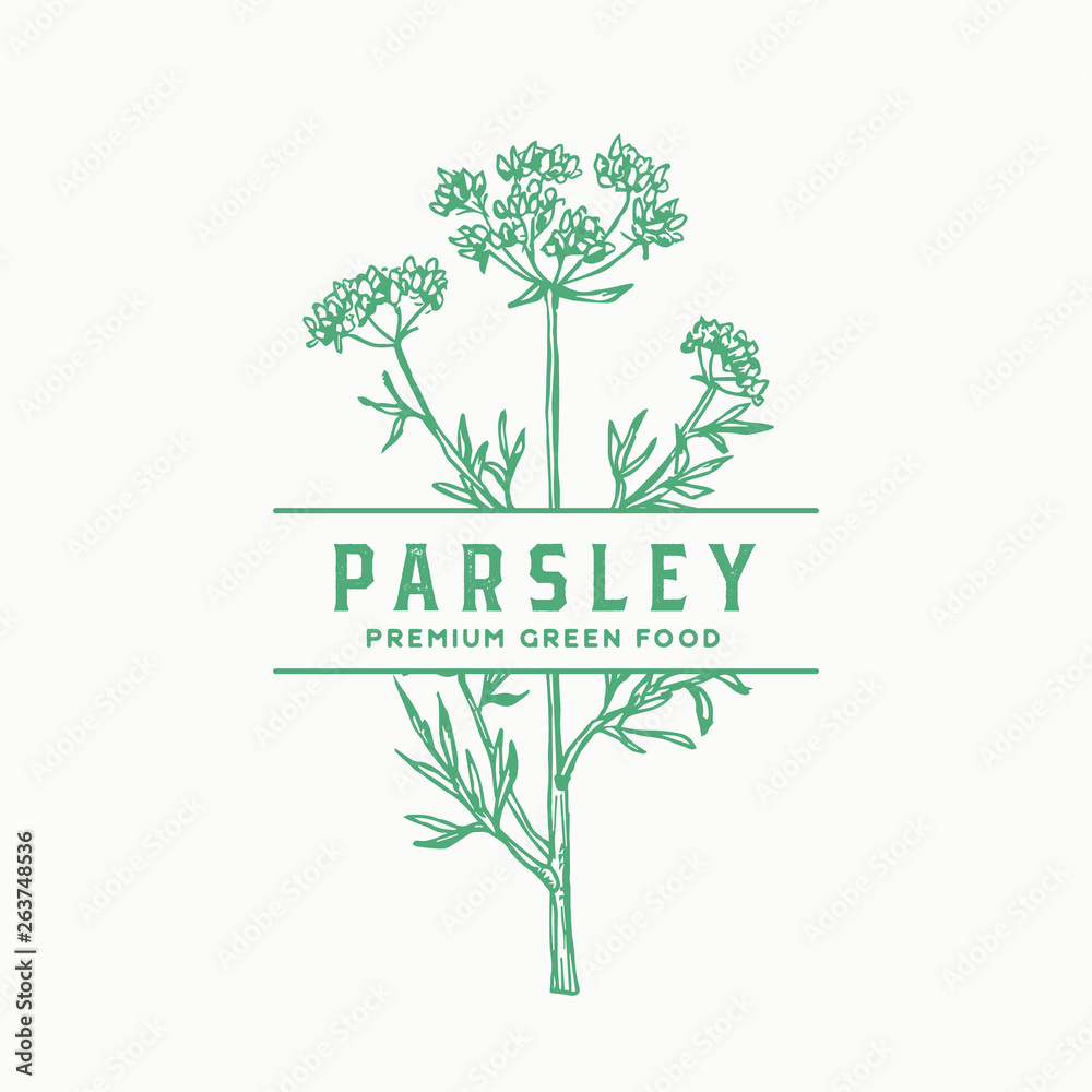 Parsley Stem Vector Sign, Symbol or Label Template. Hand Drawn Green ...