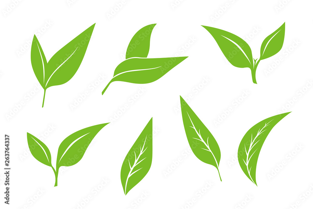 Tea Leaf Vector Free Download