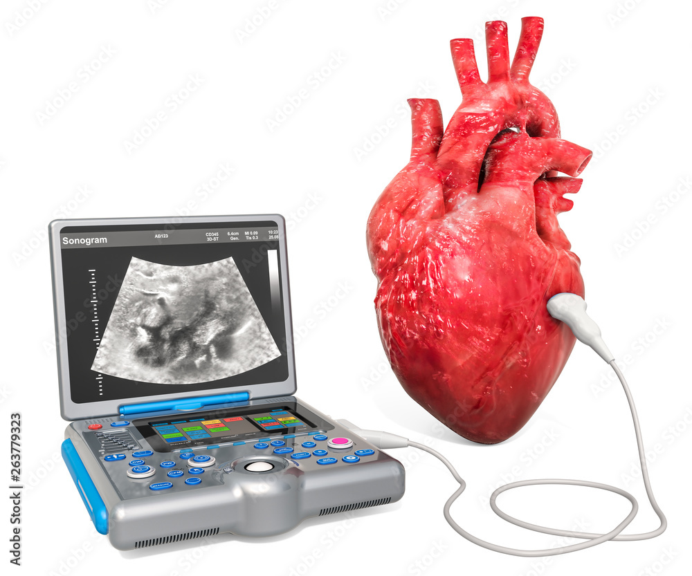 Cardiac Ultrasound concept. Human heart with medical ultrasound ...