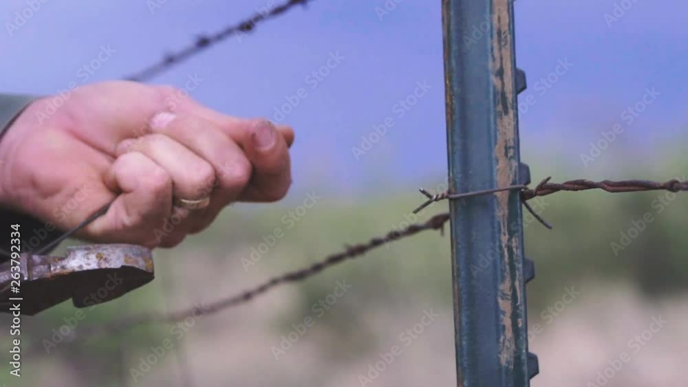 Slow motion close up of a male farmer's hands twisting and attaching ...