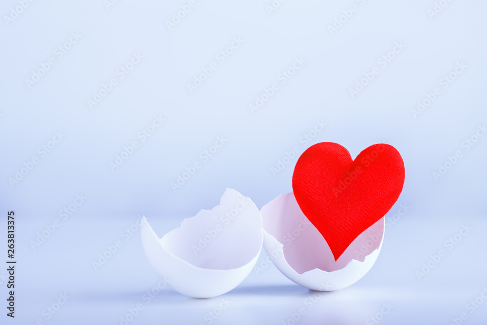 Love birth concept. Heart in an egg shell on a white background with ...