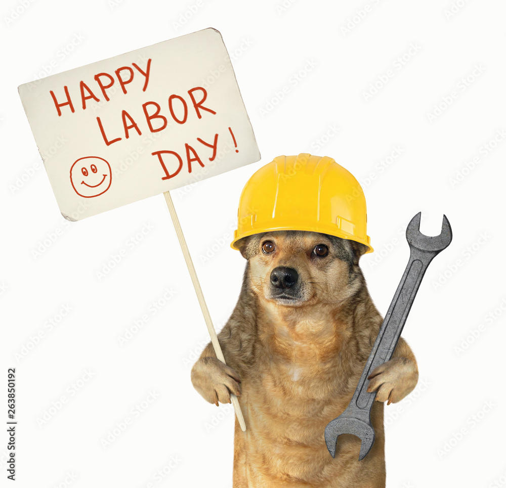 The dog worker in a helmet is holding a wr and a poster. Happy Labor ...