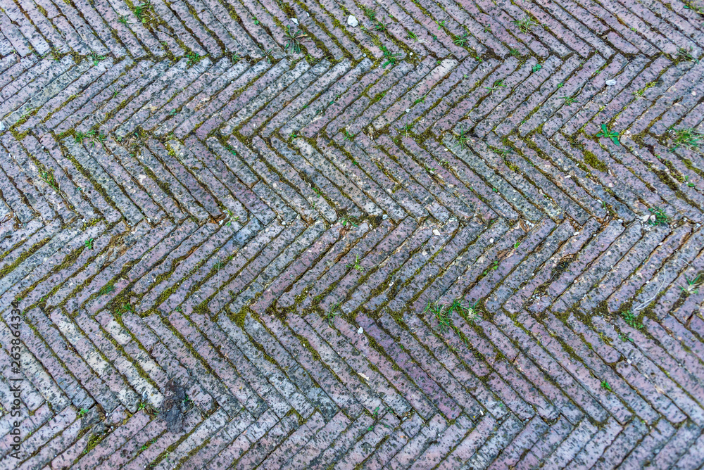 Bricks for an Ancient Roman Road in an Abandoned Village in Southern ...
