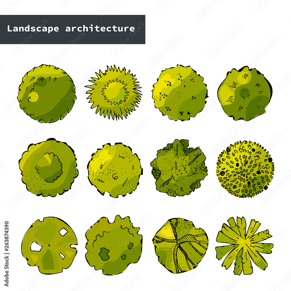 Top view vector set of different green trees.Hand drawn illustration ...