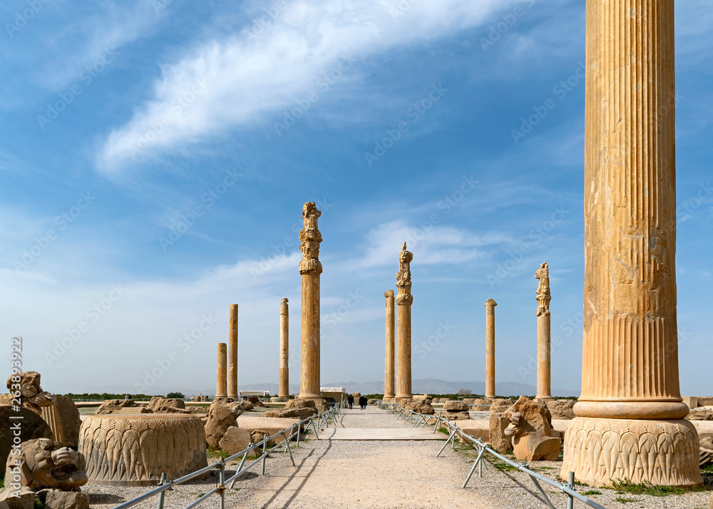 Apadana Palace Persian capitals still standing after 2500 years ...