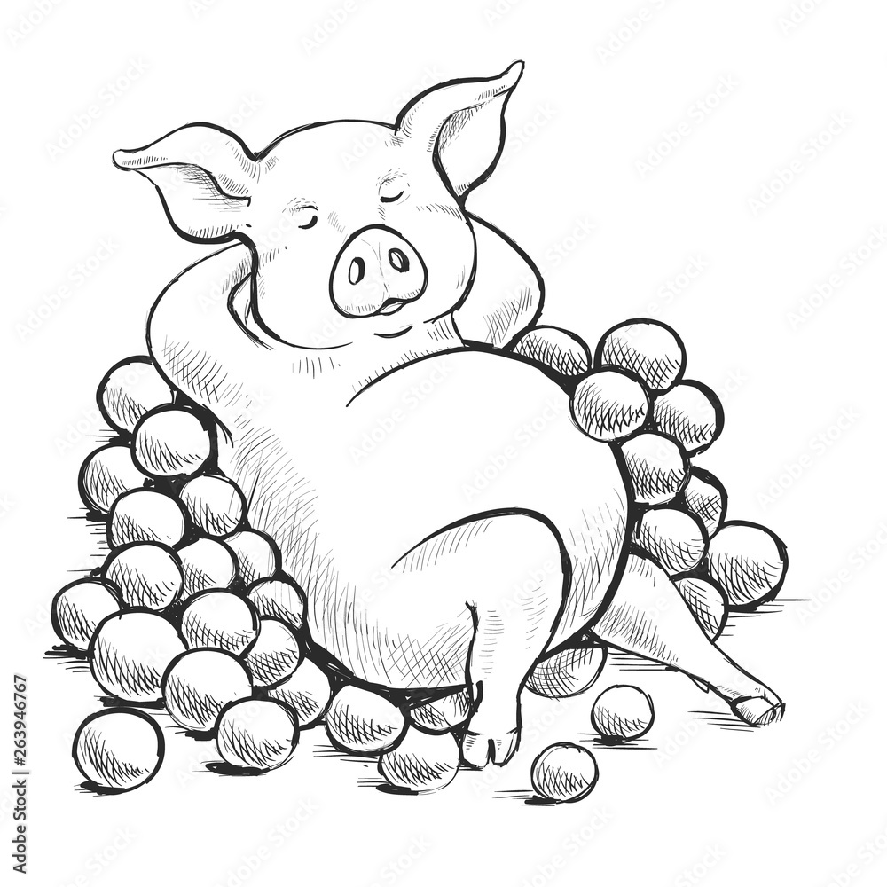 Pig Drawings For Kids