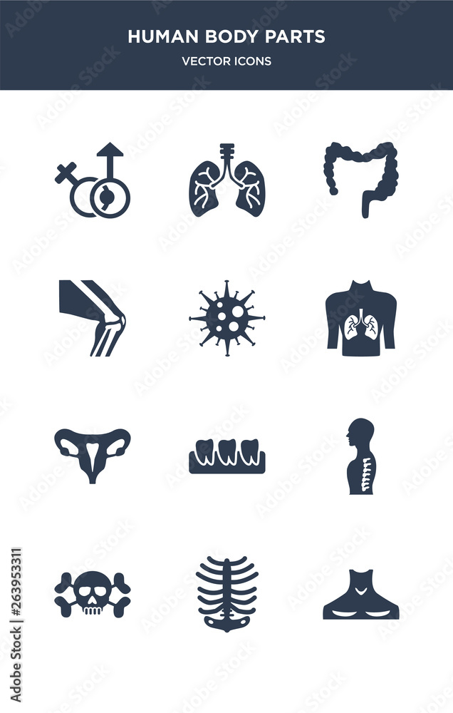 Vetor de 12 human body parts vector icons such as human neck, human ...