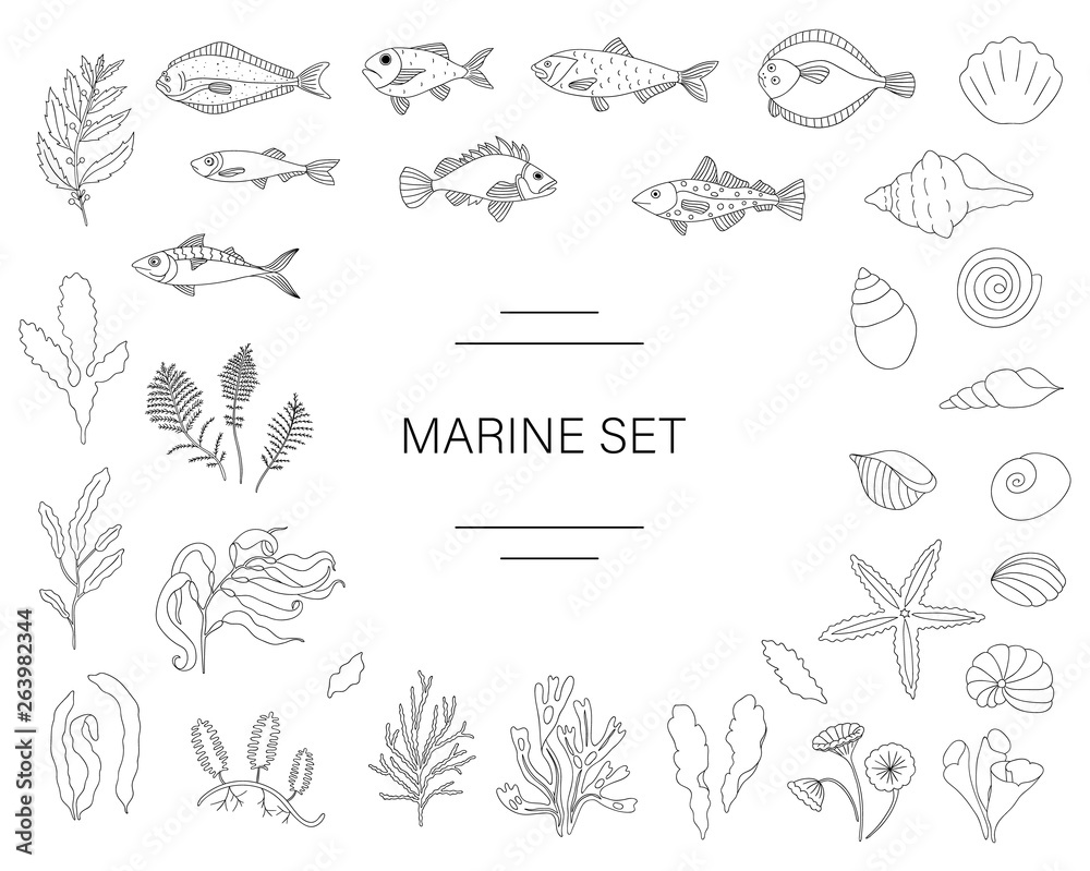 Vector black and white set of fish, sea shells, seaweeds isolated on ...