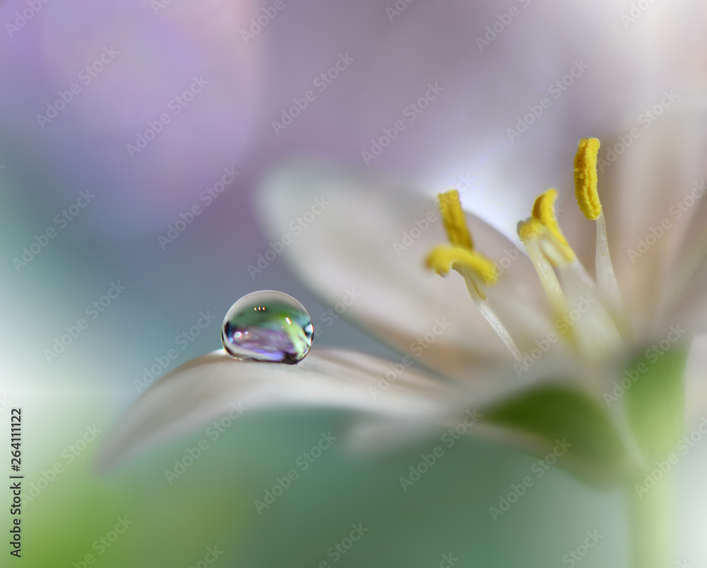 Close Up Photography Nature Hd