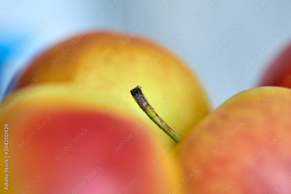Apple Stalk Texture
