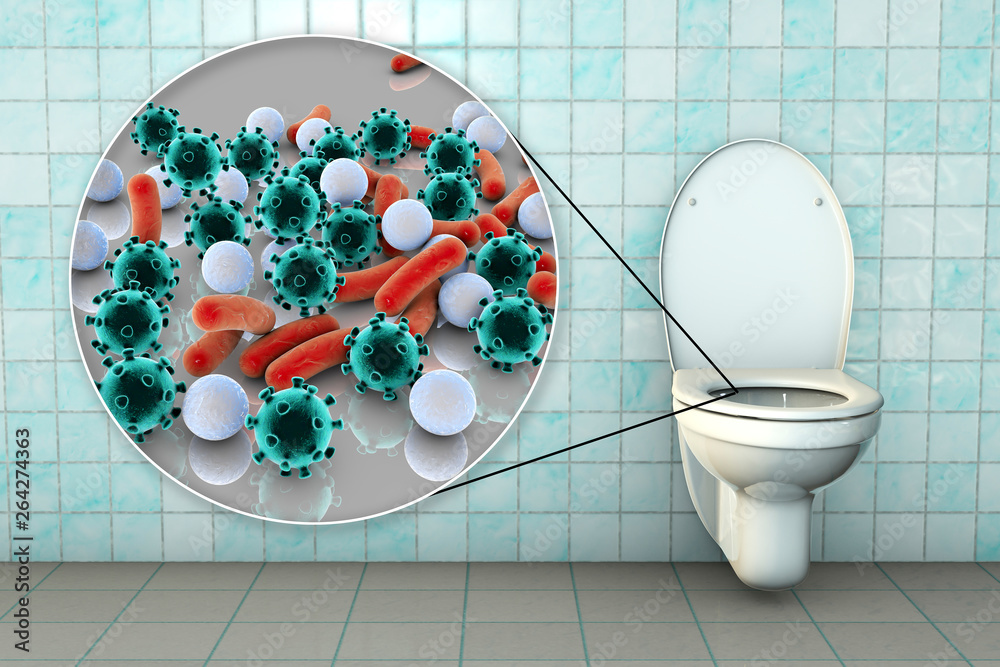 Toilet microbes, conceptual 3D illustration. Transmission of diarrheal ...