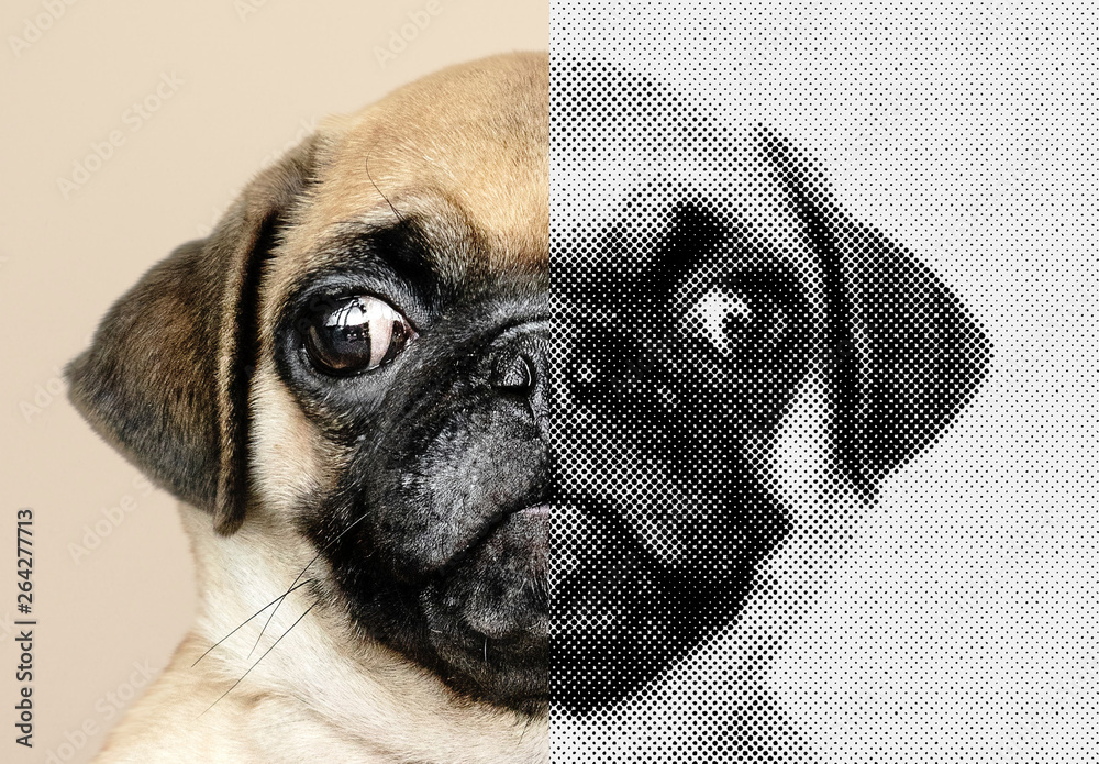 Color Halftone Effect Image Mask Layout Stock Template | Adobe Stock