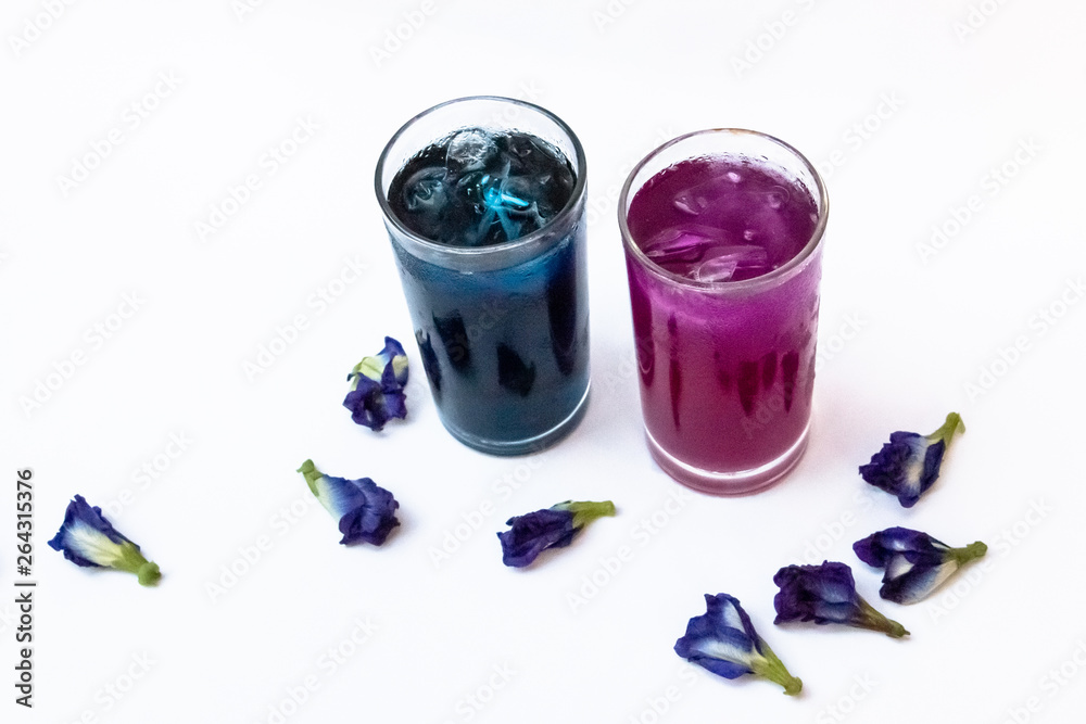 Butterfly Pea Flower tea made from the Clitoria ternatea plant. The ...