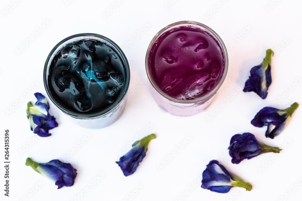 Butterfly Pea Flower tea made from the Clitoria ternatea plant. The ...