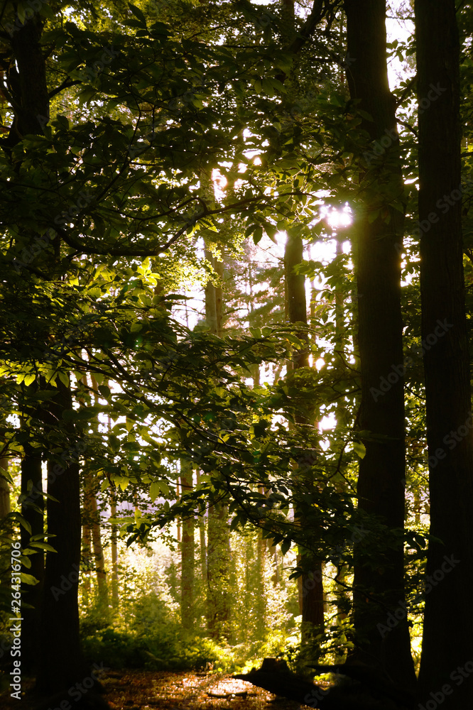 Up close windmill of the central mechanics and a single blade. Detailed ...