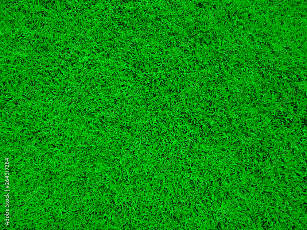 Natural grass texture pattern background. Green grass texture for ...