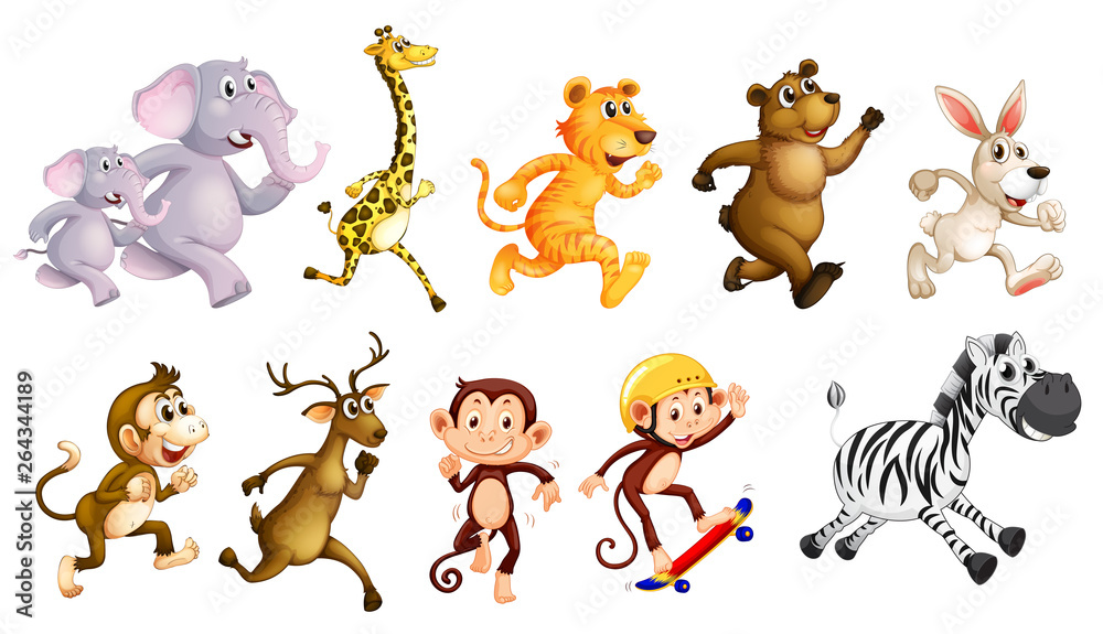 Wild Animals Running